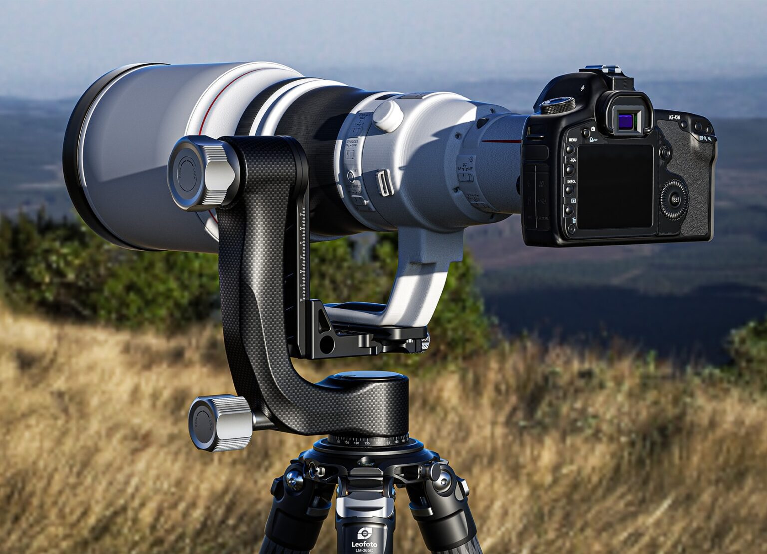 Gimbal PG-3 aus Carbon - Leofoto Schweiz